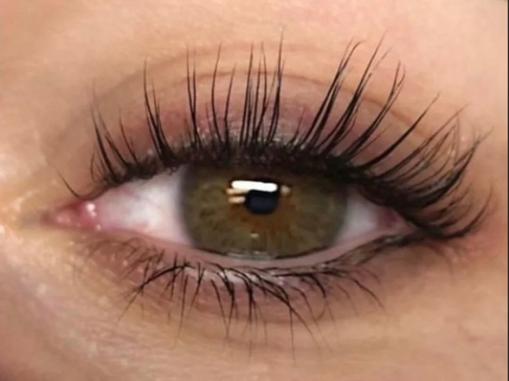 Lash & Brow Boutique