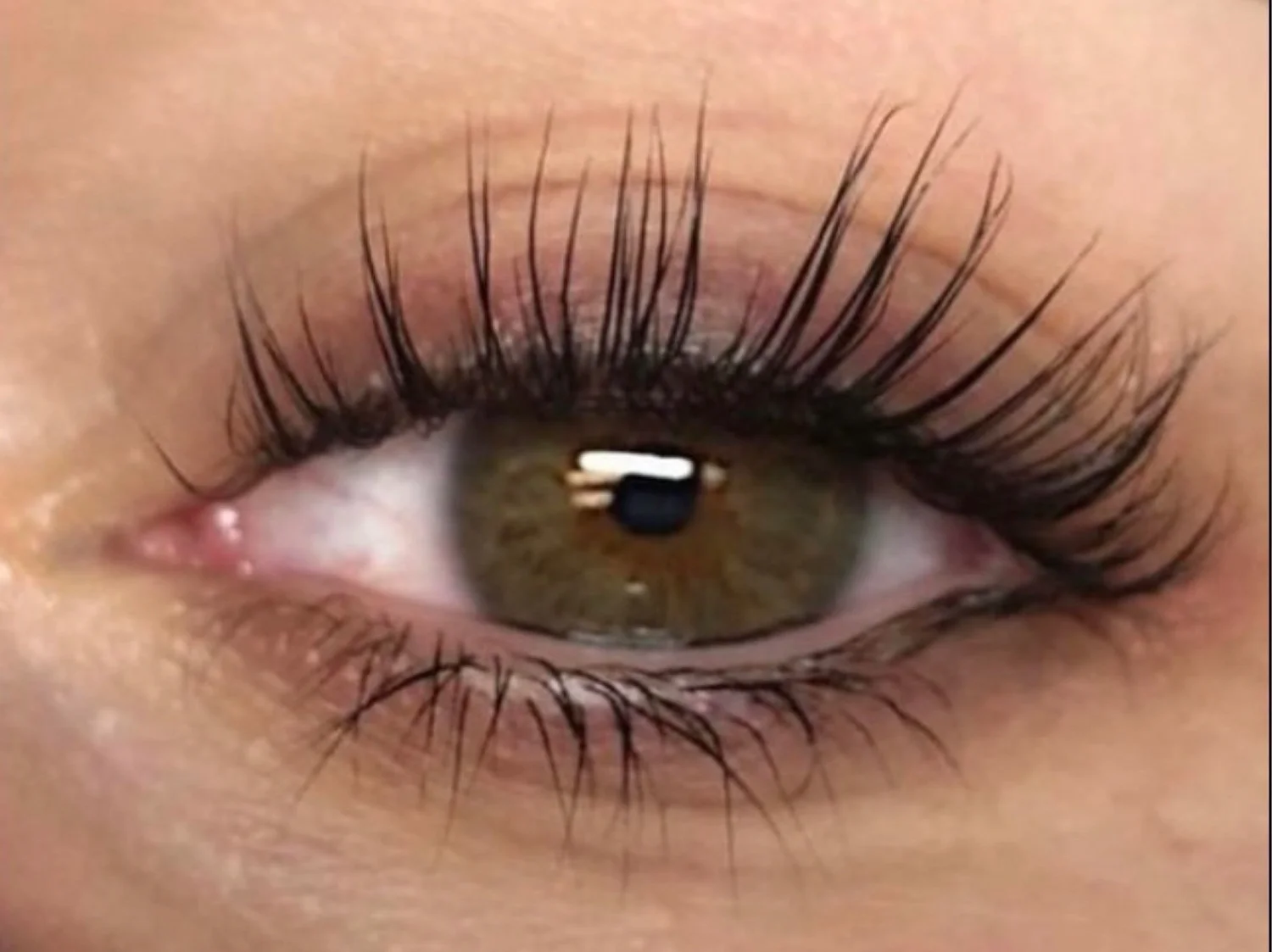 Lash & Brow Boutique