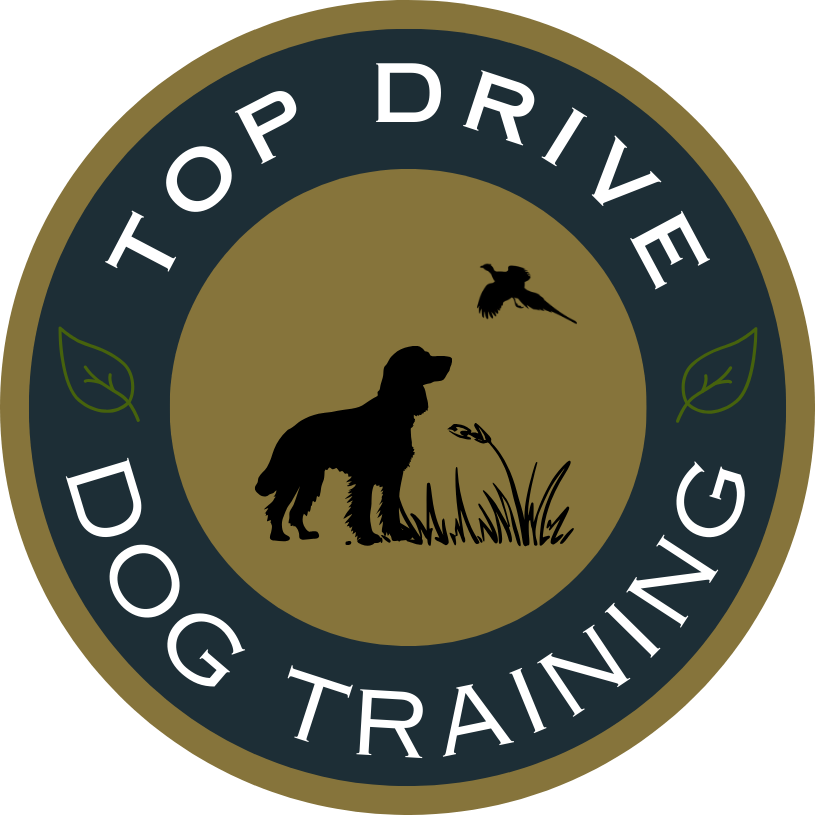 Top Drive Dog Training