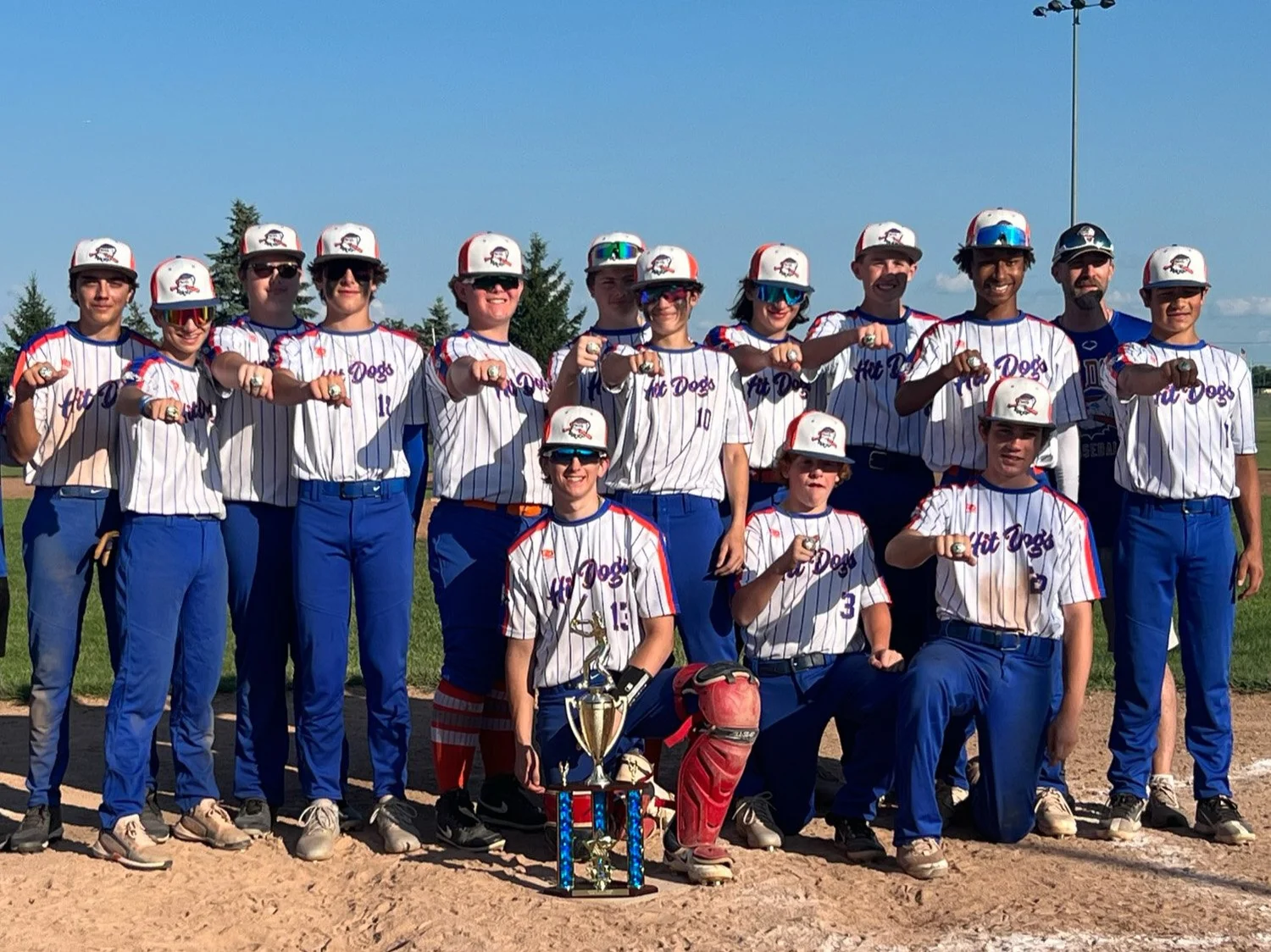 Hit Dogs — Play at the Cage: Home of the Motor City Hit Dogs Westside