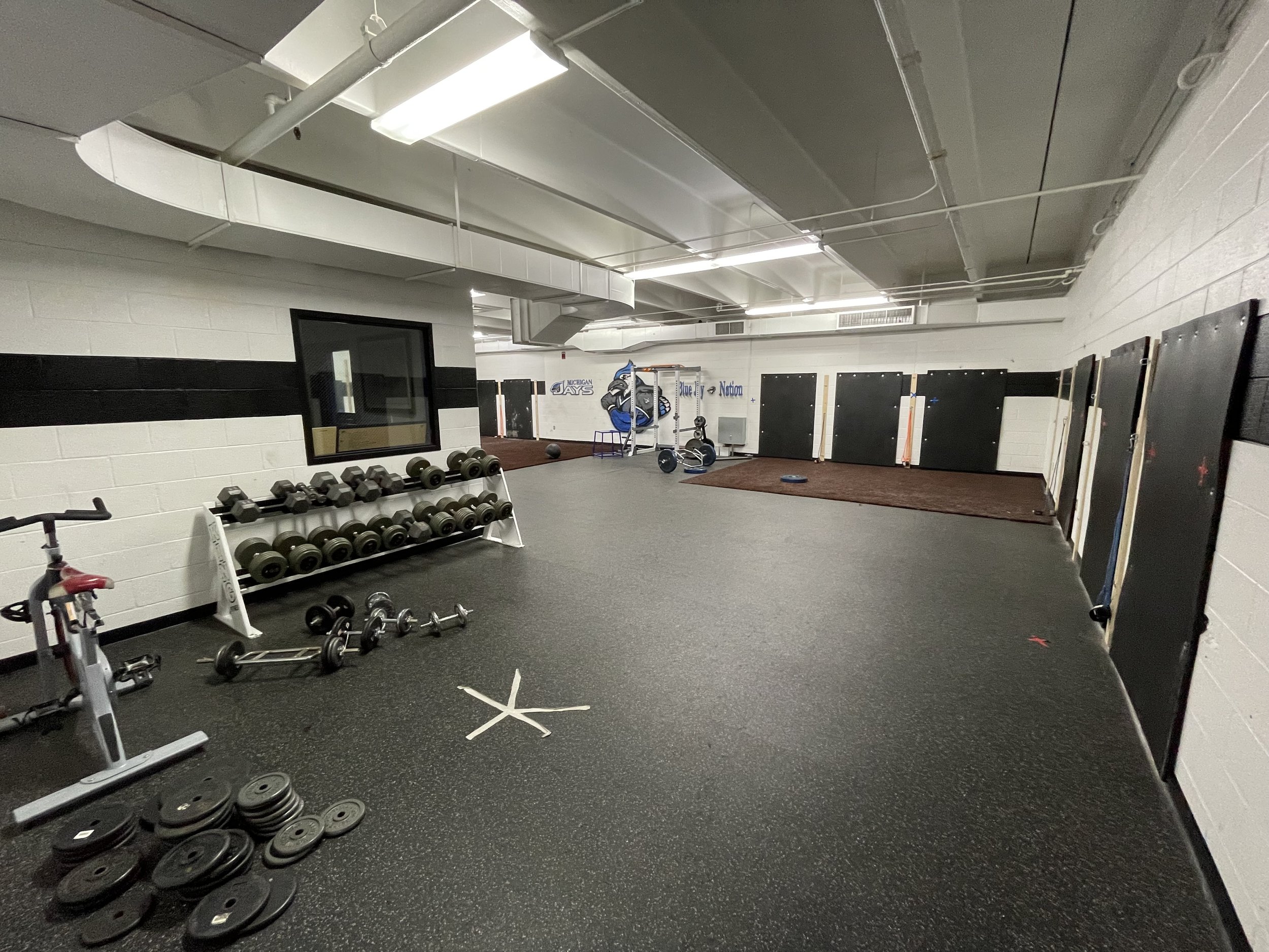 Facility — Play at the Cage: Home of the Motor City Hit Dogs Westside