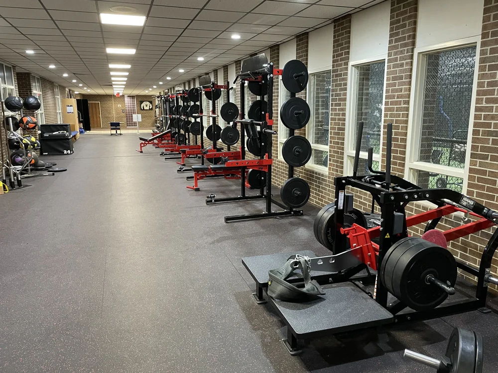 Facility — Play at the Cage: Home of the Motor City Hit Dogs Westside