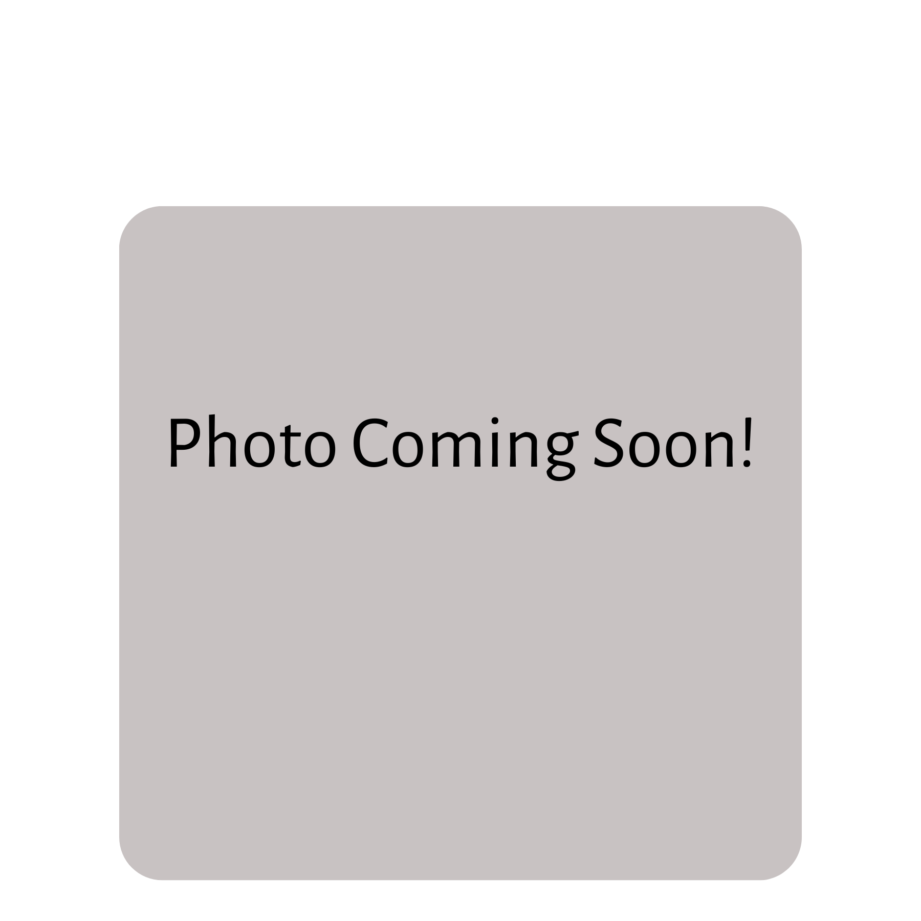 Parish Staff — GrizzlyCatholic - St. John Fisher University Parish