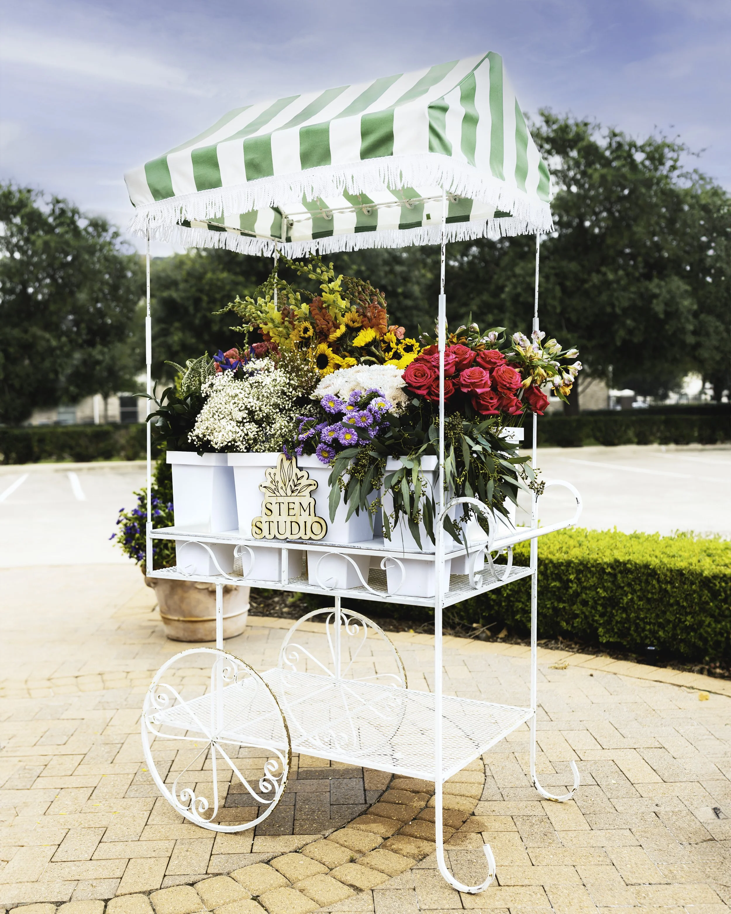 About 1 — Stem Studio