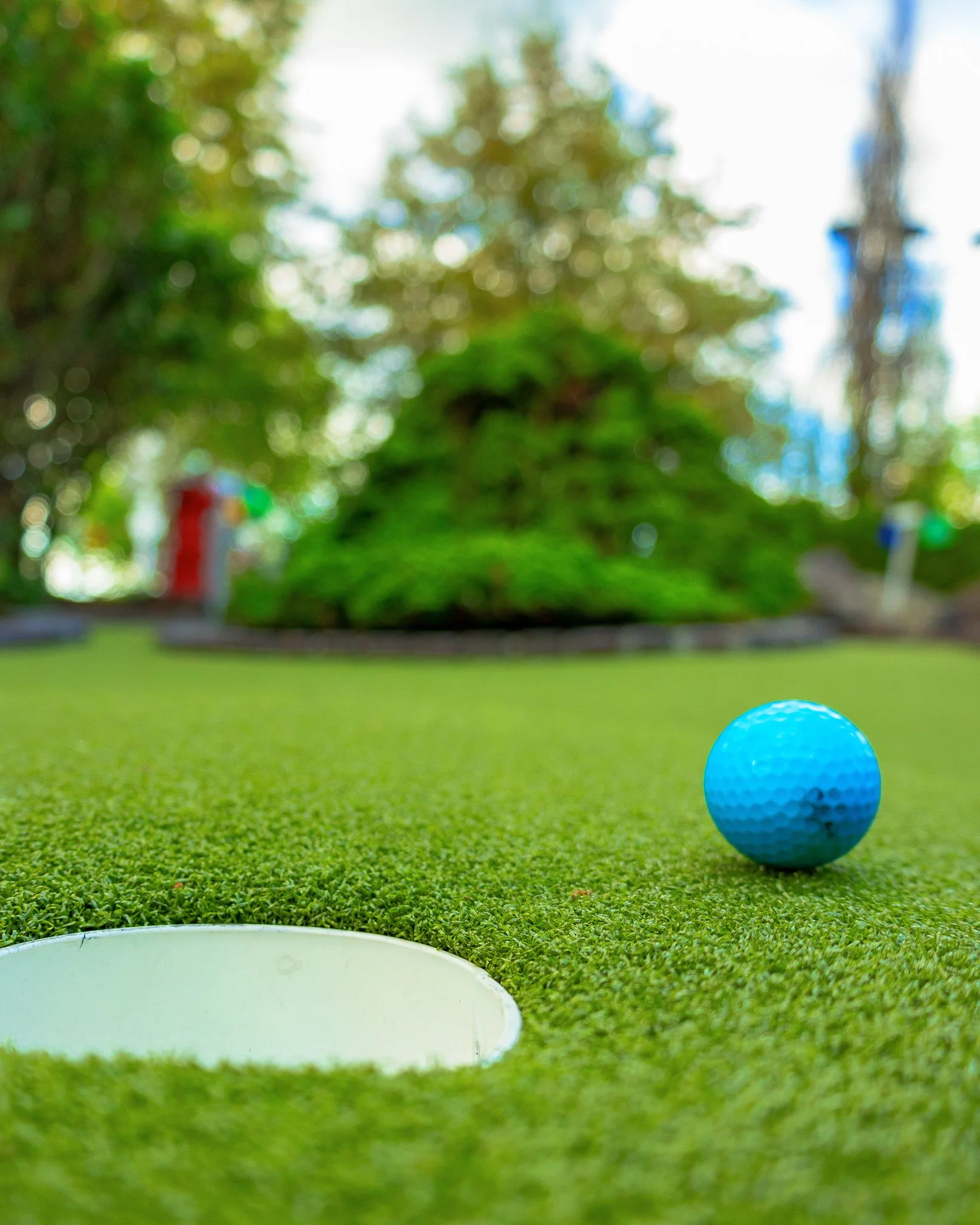 Attractions — DC Sports