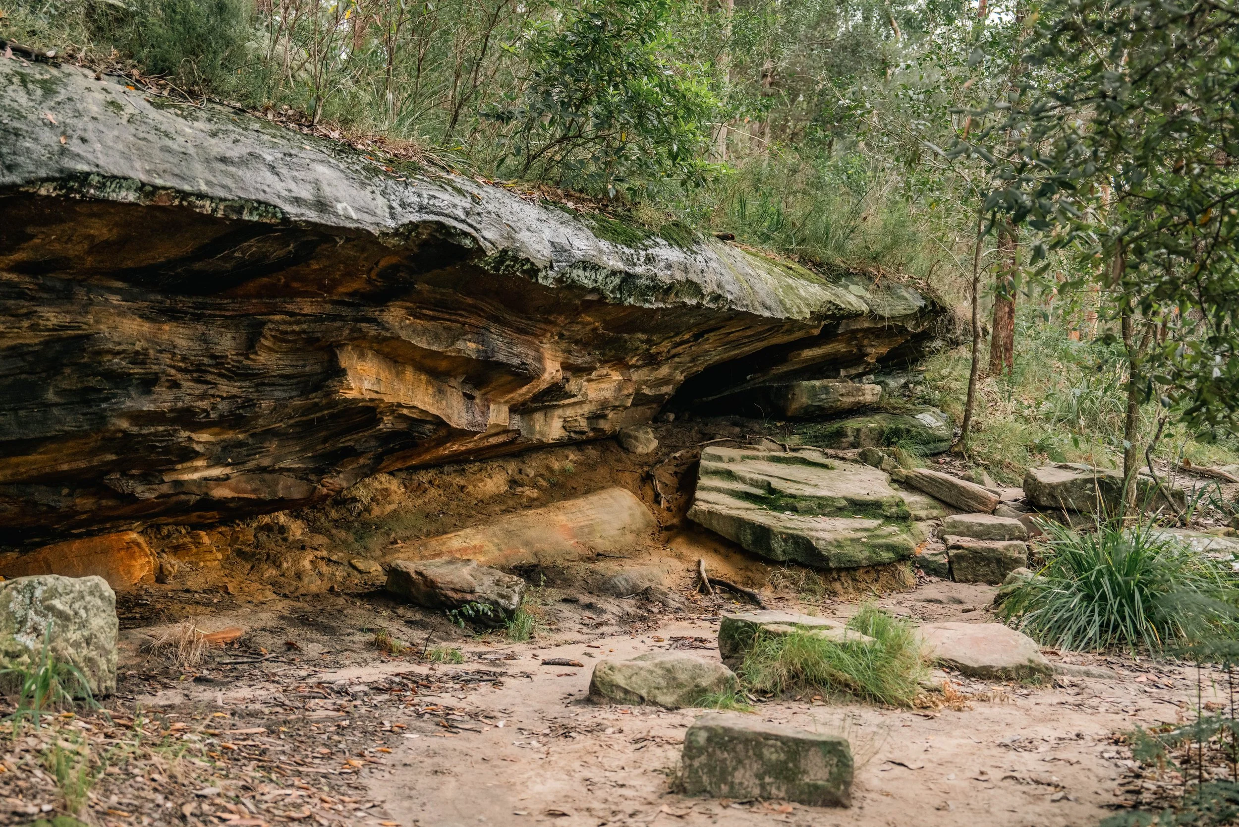 Sydney Trail Half Marathon
