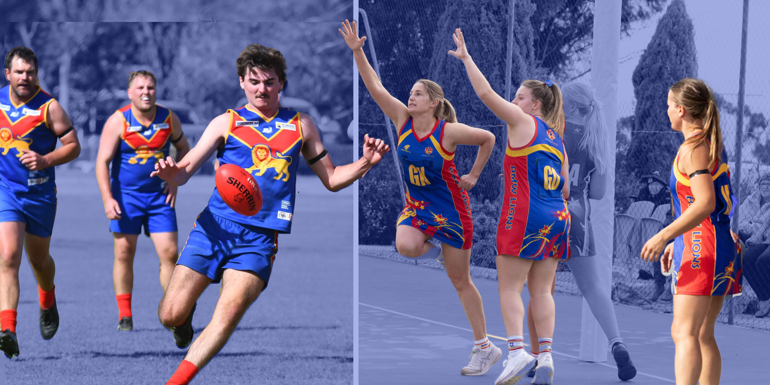 Home – BMW Lions Football & Netball Club