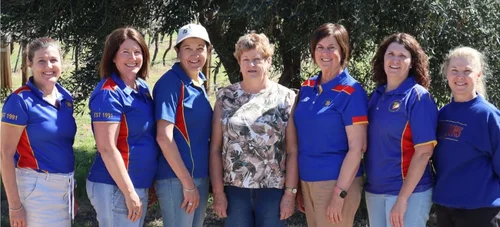 Club History — BMW Lions