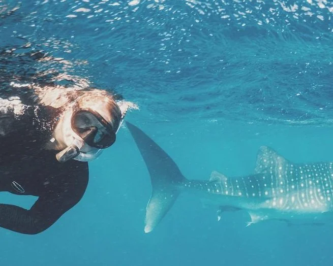 Our Team | Join Our Conservation Team Today — Women in Wildlife