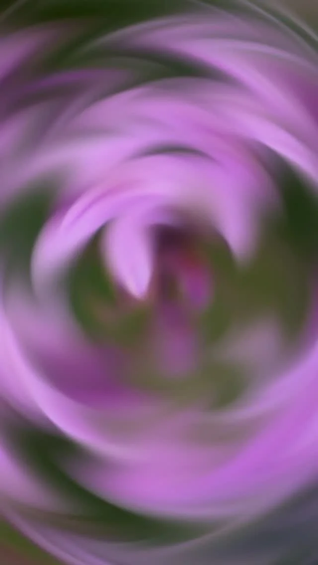 SPARE Restaurant Lounge & Bar