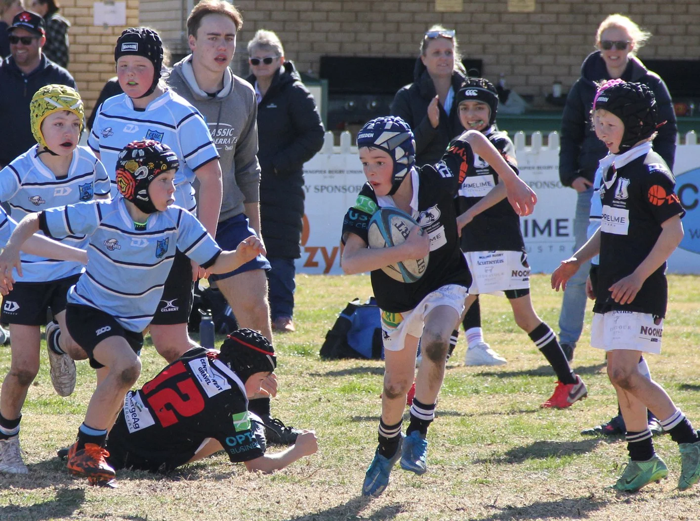 JUNIORS — HOME OF THE MOLONG MAGPIES RUGBY CLUB