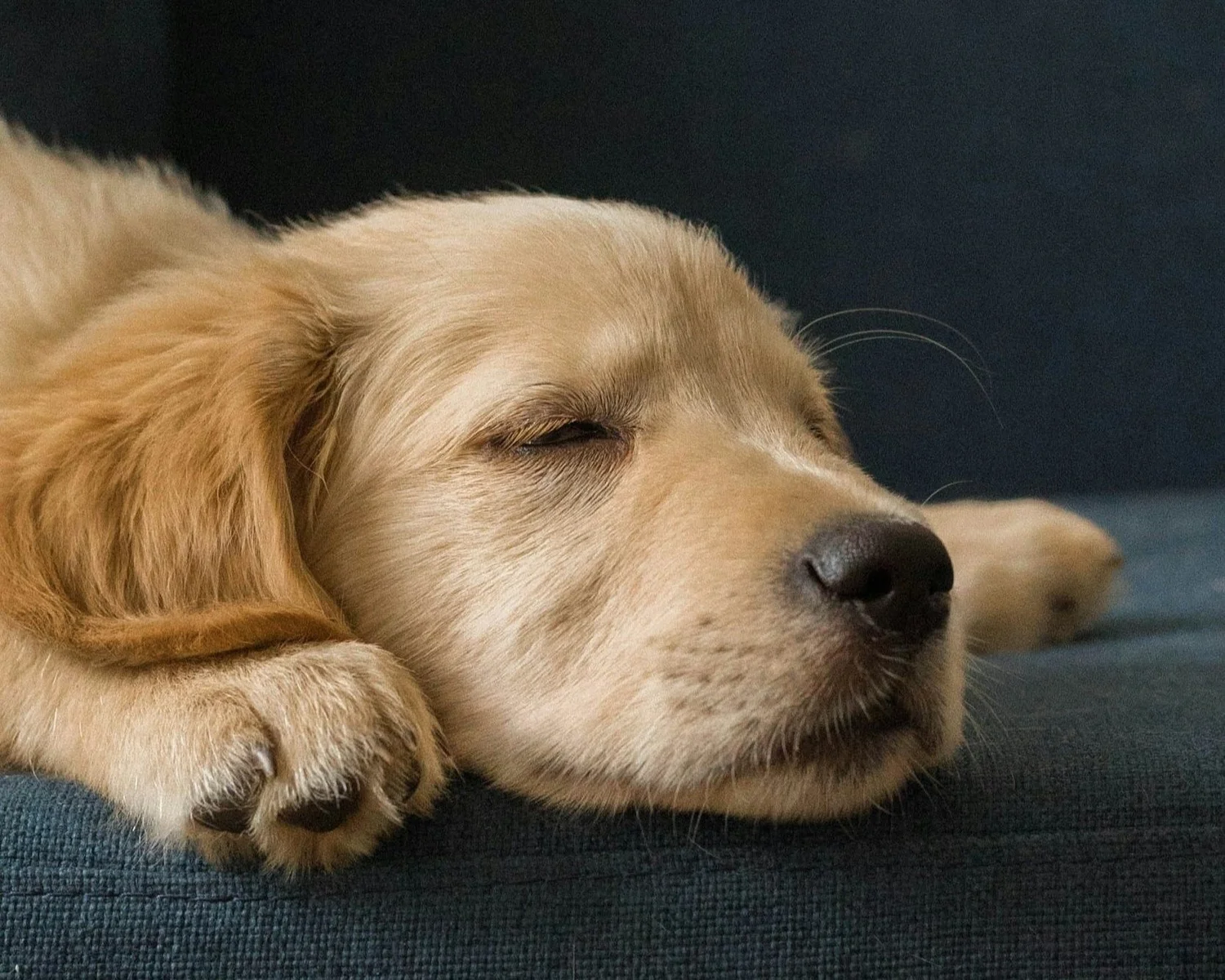 Why Zzz’s Matter as Much as Reps — GLOW GROW BLOG