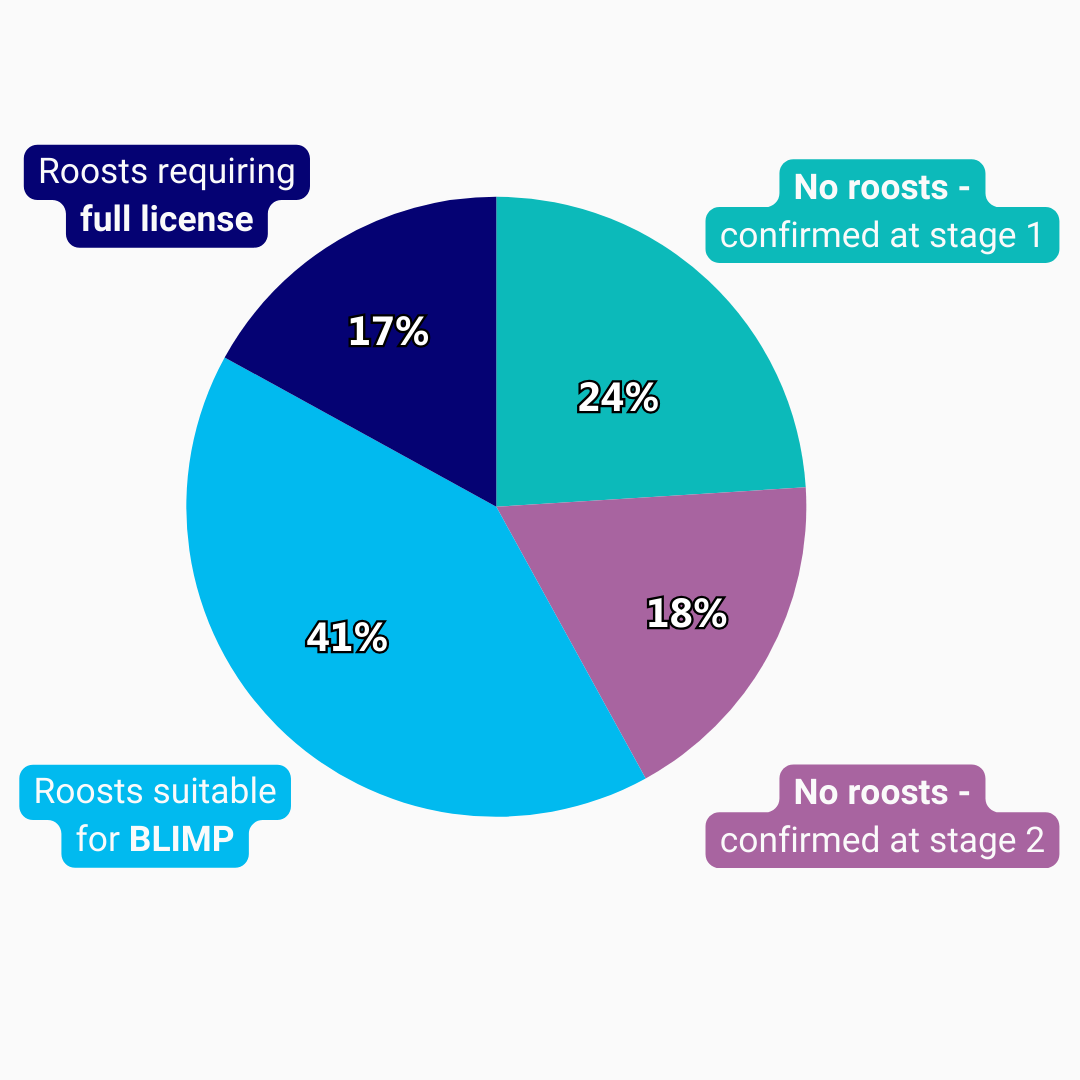 What will your bat survey find? — Bat Survey Scotland