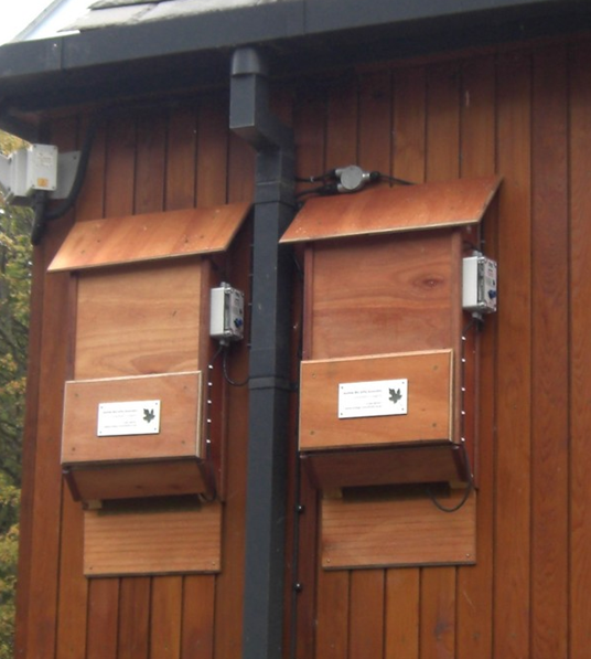 Bat Boxes for Development — Bat Survey Scotland