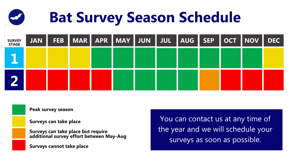 Bat Survey FAQs: Part 1 — Bat Survey Scotland