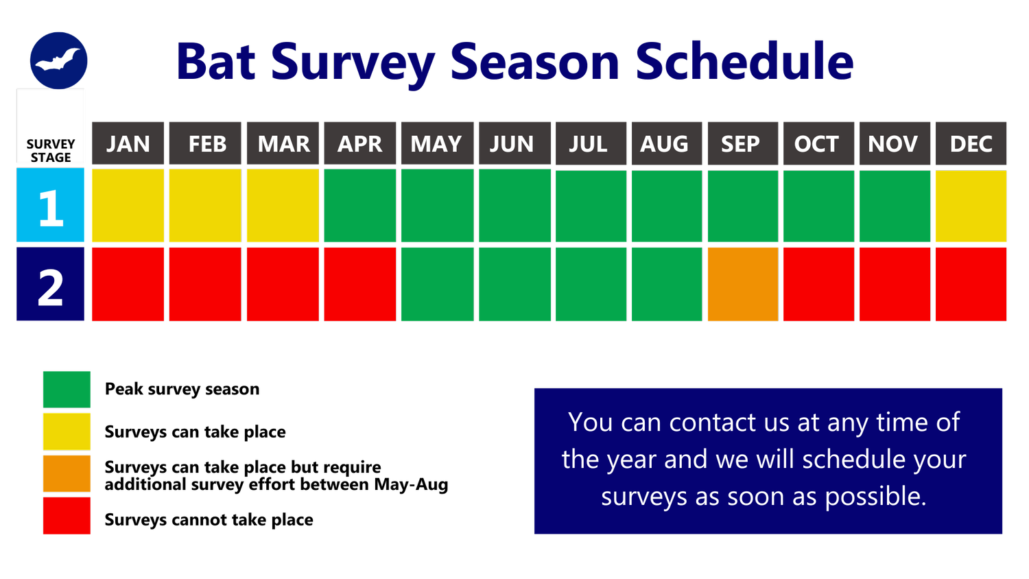 Bat Survey FAQs: Part 1 — Bat Survey Scotland