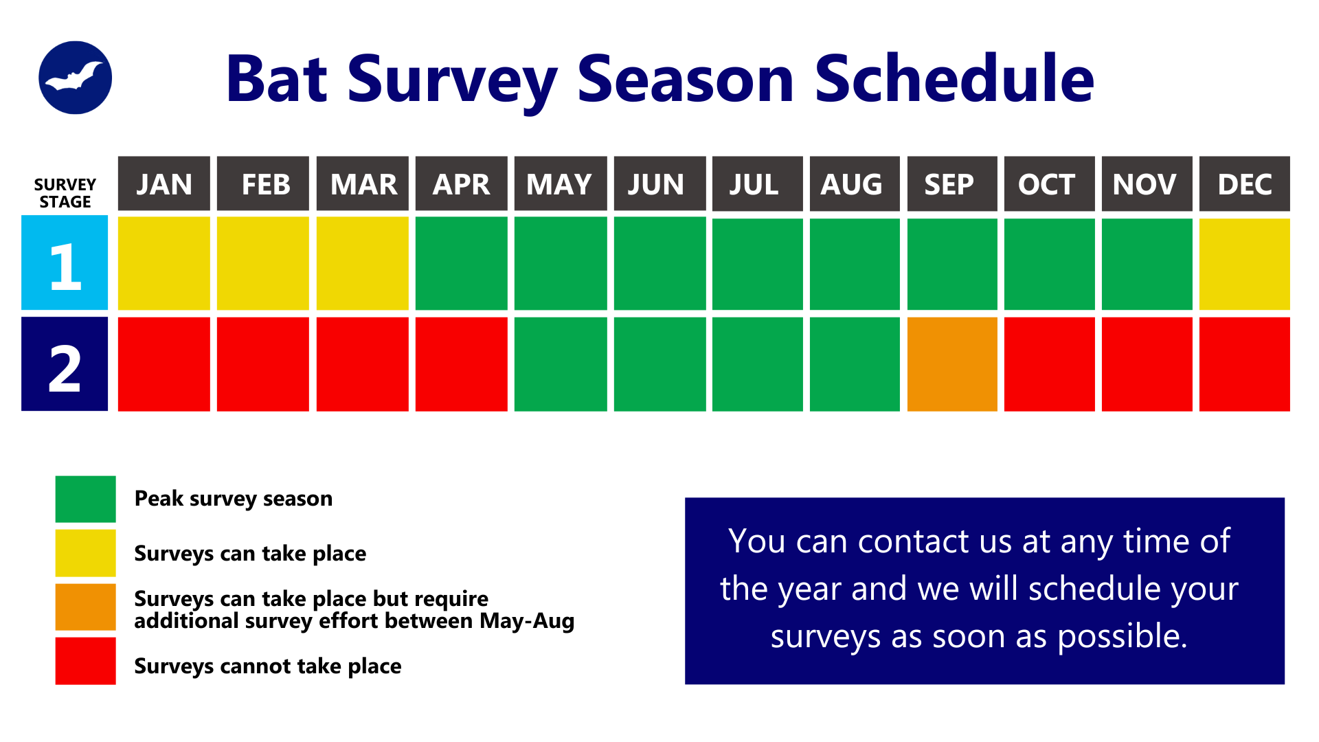 Bat Survey FAQs: Part 1 — Bat Survey Scotland