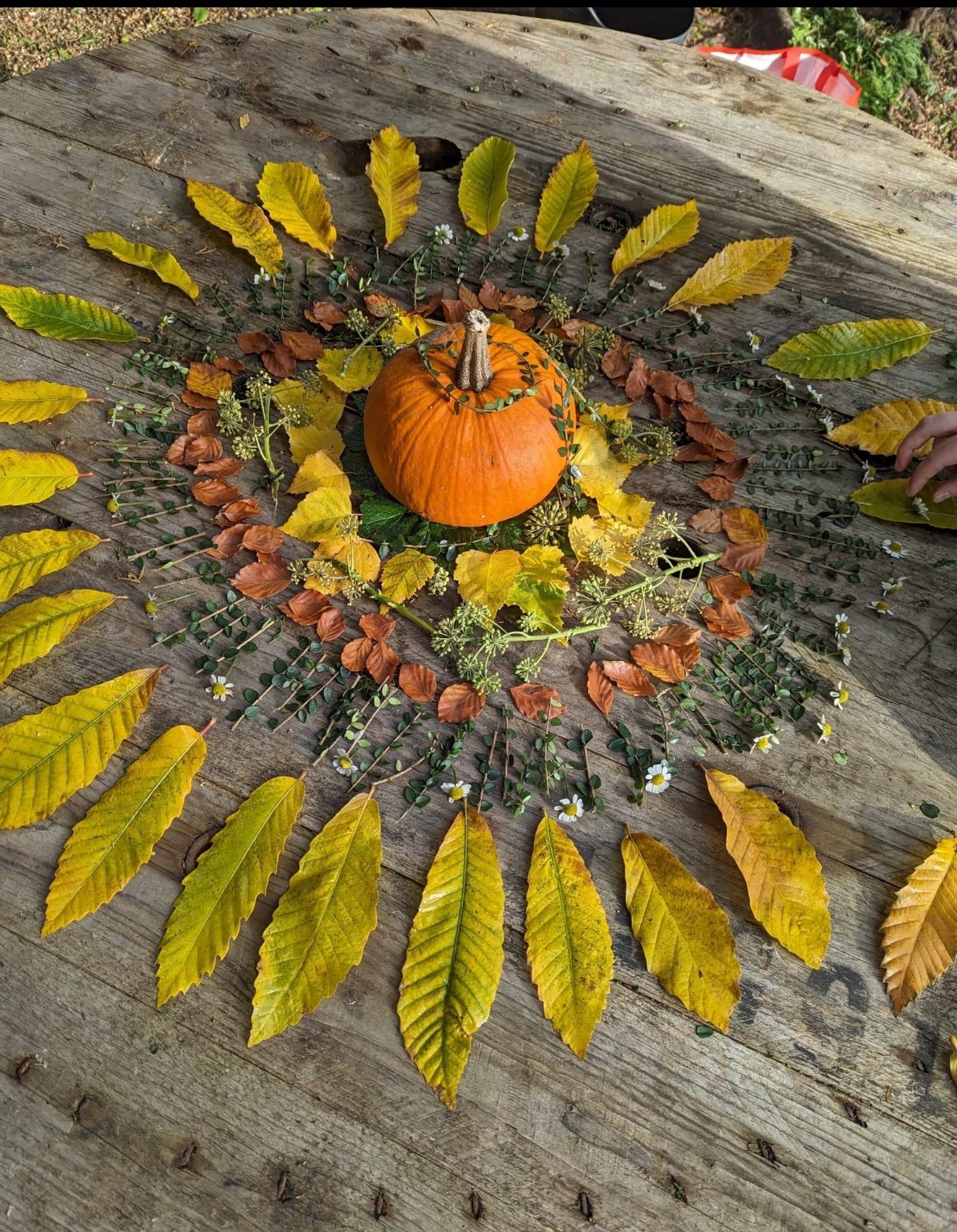 All Policies — Life Skills Hub