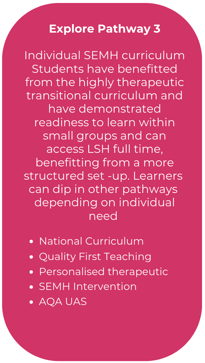 Curriculum — Life Skills Hub