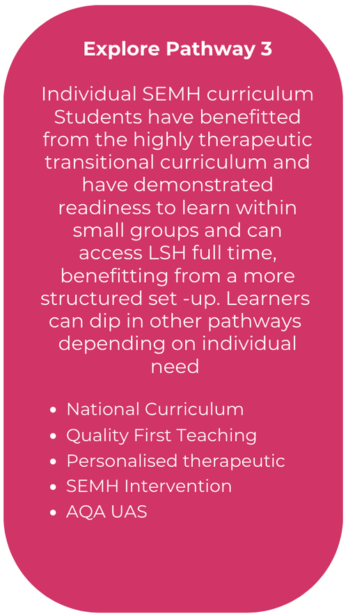 Curriculum — Life Skills Hub