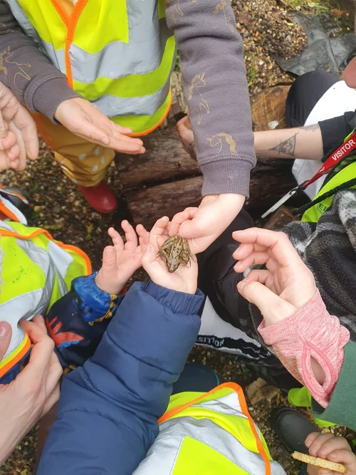 Forest Skills — Life Skills Hub