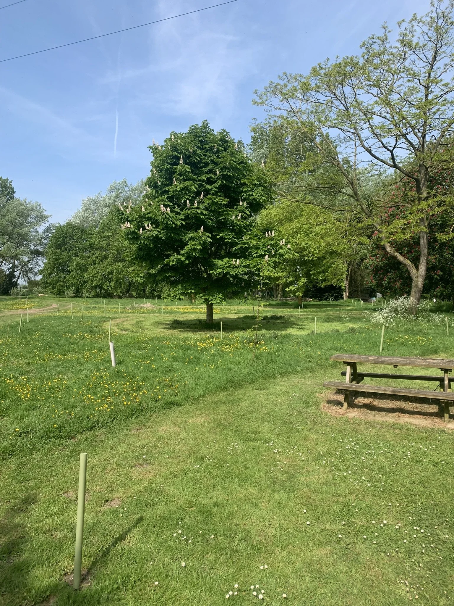 West End Farm- Touring Park - Adult Only, Dog Friendly Camping ...