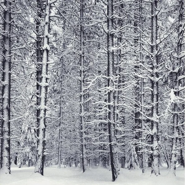 HOF Inductee Ansel Adams — International Photography Hall of Fame and ...