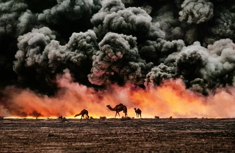 HOF Inductee Steve McCurry — International Photography Hall of Fame and ...