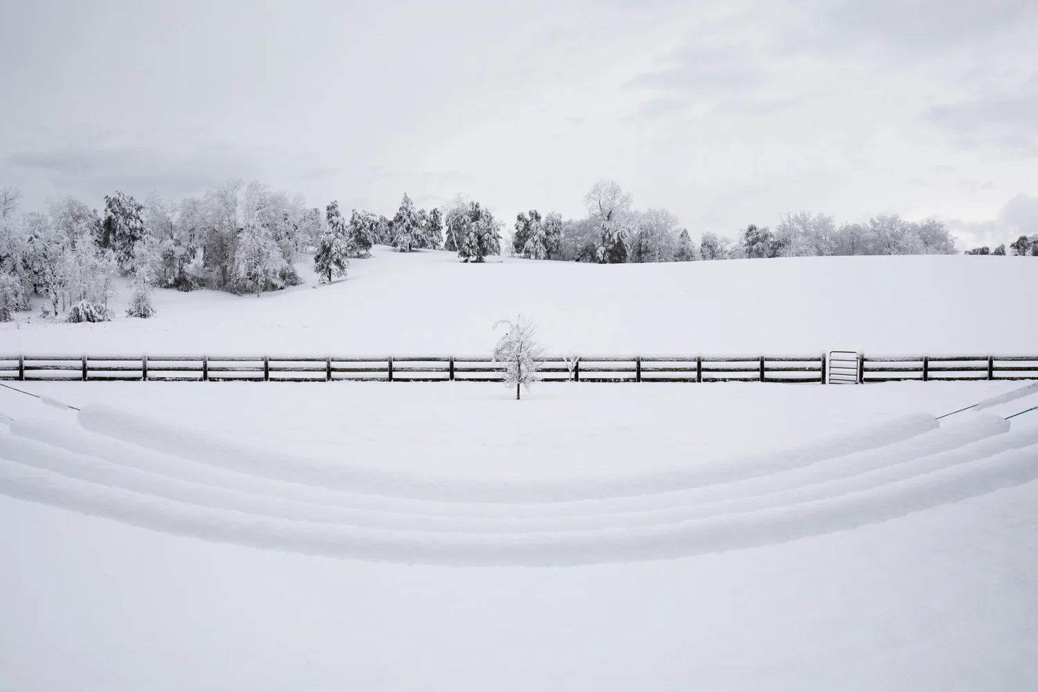 HOF-Inductee-Sam-Abell — International Photography Hall of Fame and Museum
