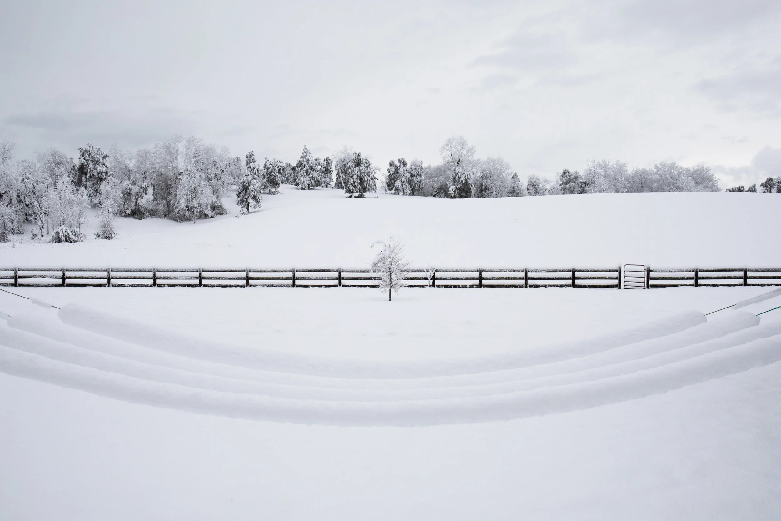 HOF-Inductee-Sam-Abell — International Photography Hall of Fame and Museum