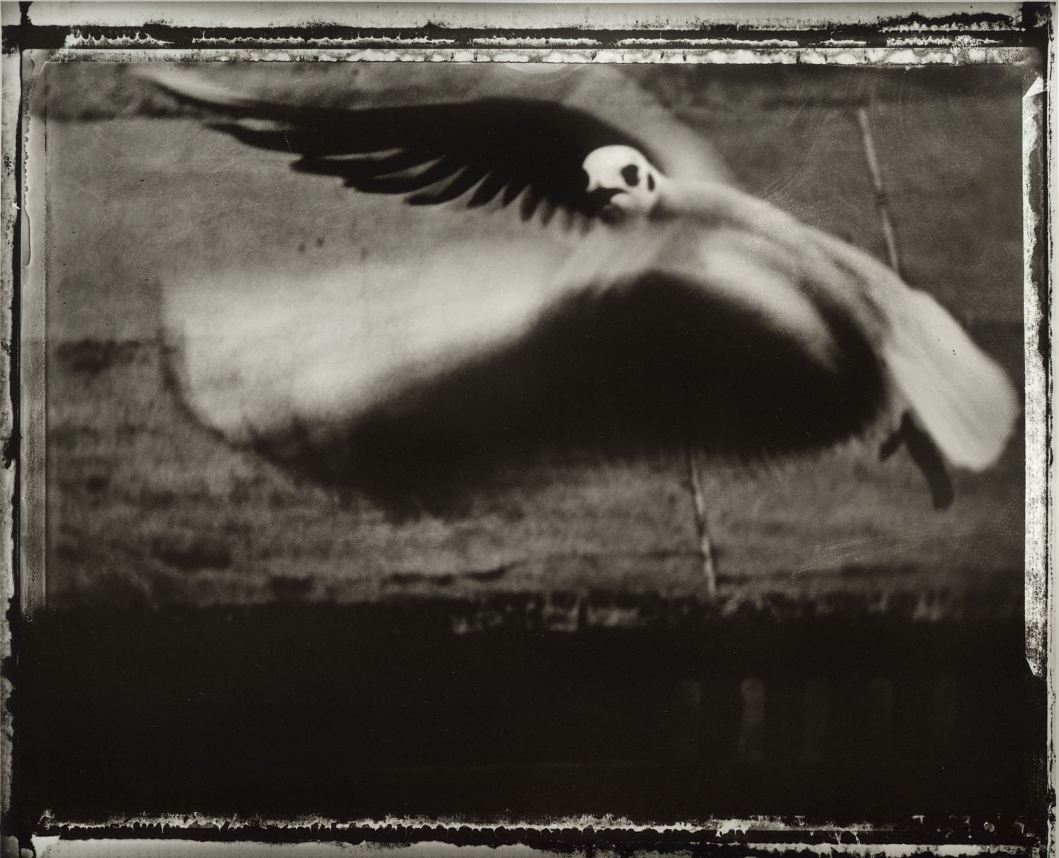 HOF Inductee Sarah Moon — International Photography Hall of Fame and Museum