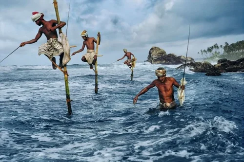 HOF Inductee Steve McCurry — International Photography Hall of Fame and ...