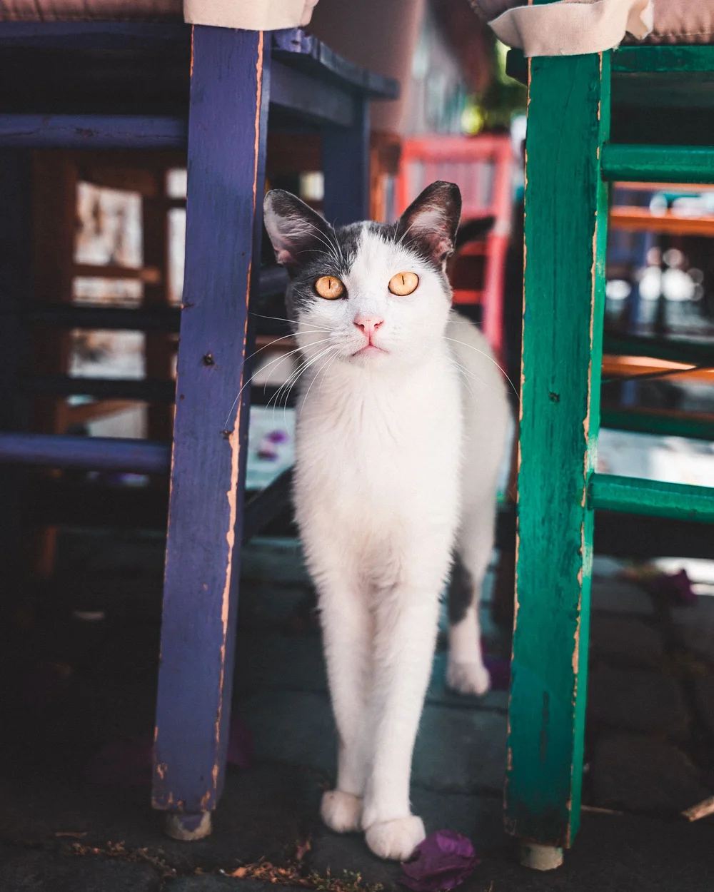 Visiter Kas en Turquie: Itinéraire + Spots Jusqu'à Marmaris!