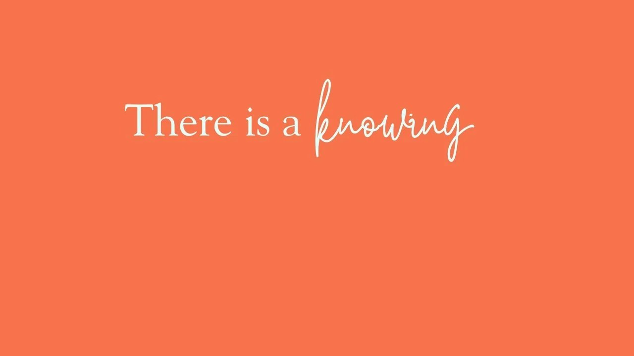 About — Laurie Shiers