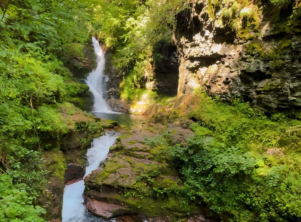 BuckHillFallsRentals.com