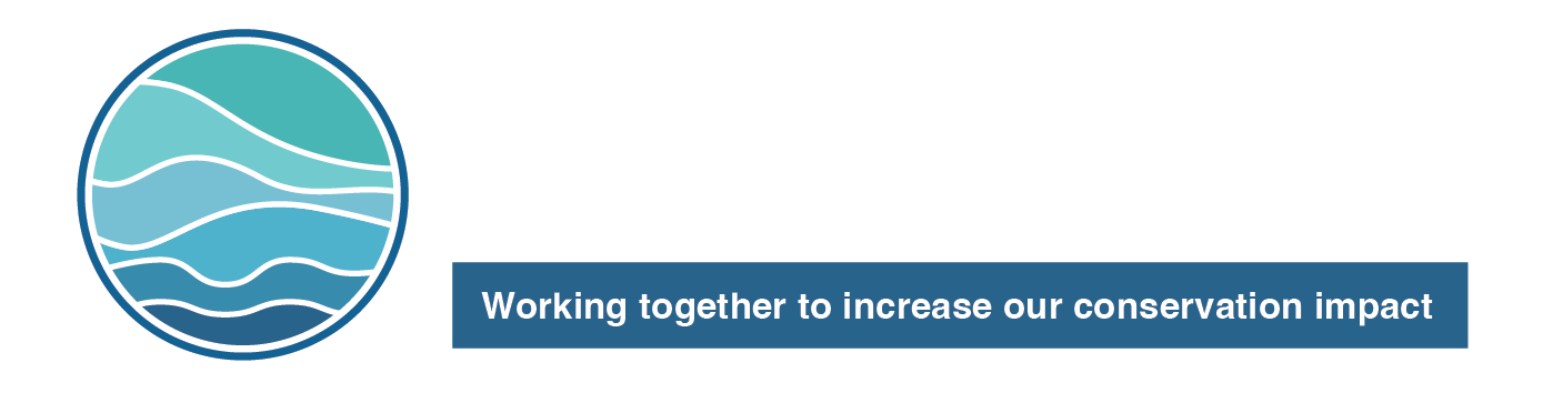 Christopher Benchley Awards — peter benchley awards