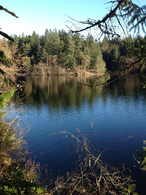 Explore the ACFL — Friends of the Anacortes Community Forest Lands