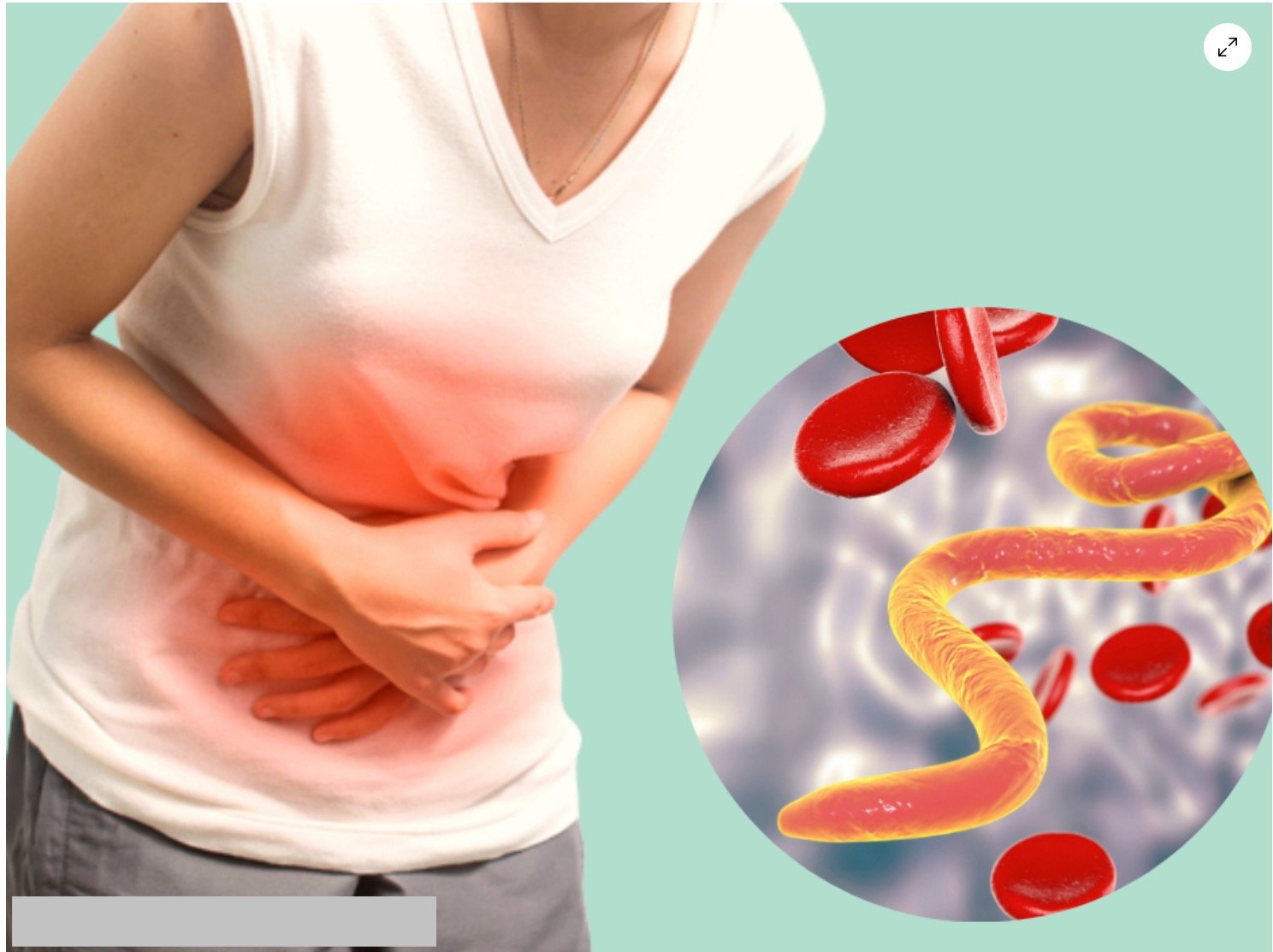 Cellcore Whole Body Detox & Parasite Cleansing — Go To Wellness Center