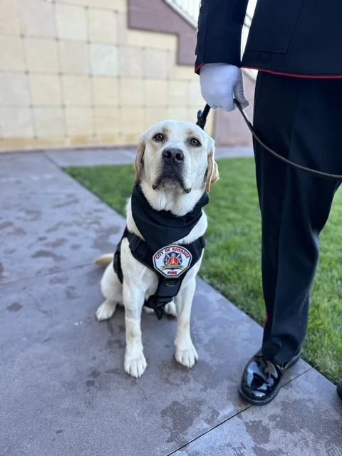 Riverside Firefighters