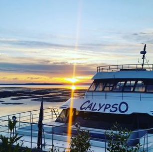 Travel Guide — Stradbroke Flyer Gold Cat