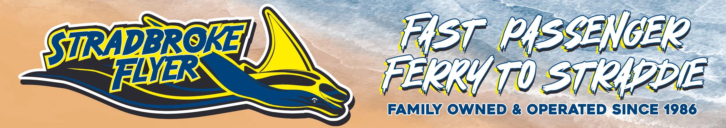 Stradbroke Flyer Gold Cat