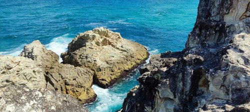 Stradbroke Flyer Gold Cat