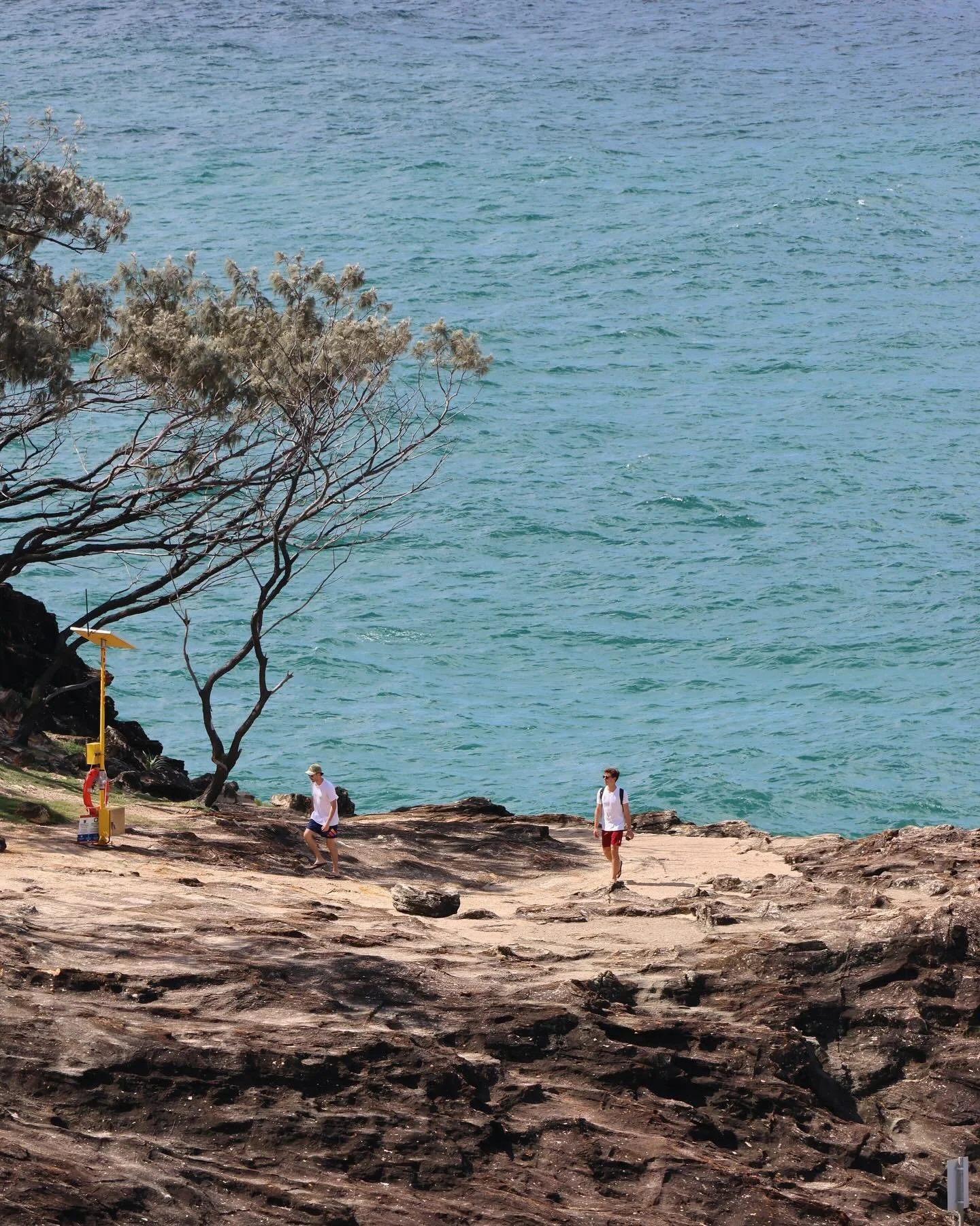 Stradbroke Flyer Gold Cat (Copy) (Copy) (Copy) (Copy)