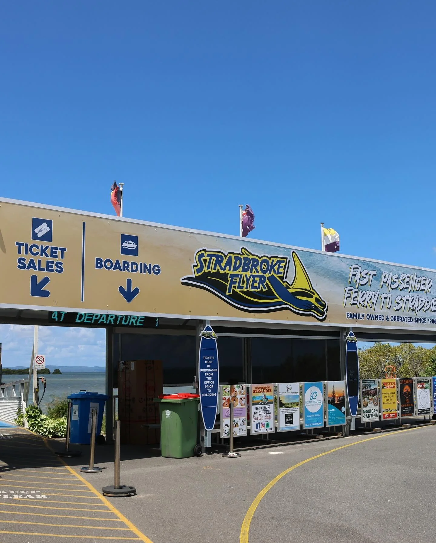 Stradbroke Flyer Gold Cat (Copy) (Copy) (Copy) (Copy)