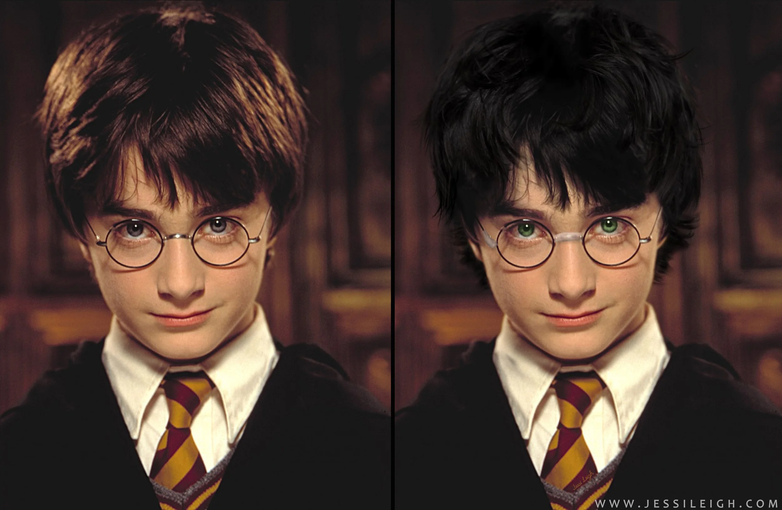 Harry Potter Characters Books vs Movies — Jessi Leigh Art Portfolio