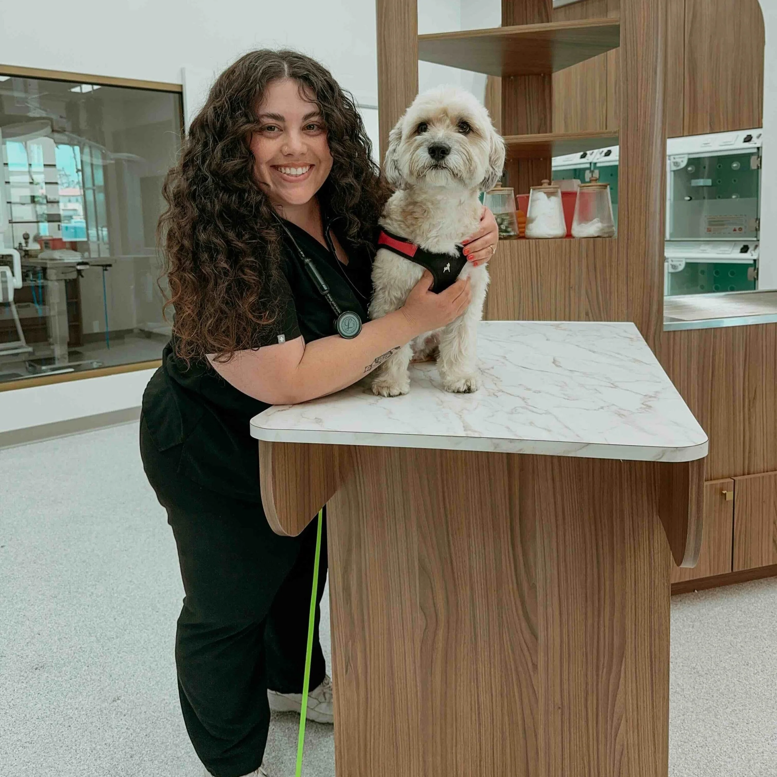 Animal Hospital in Lake Forest, CA I Fauna Veterinary Collective