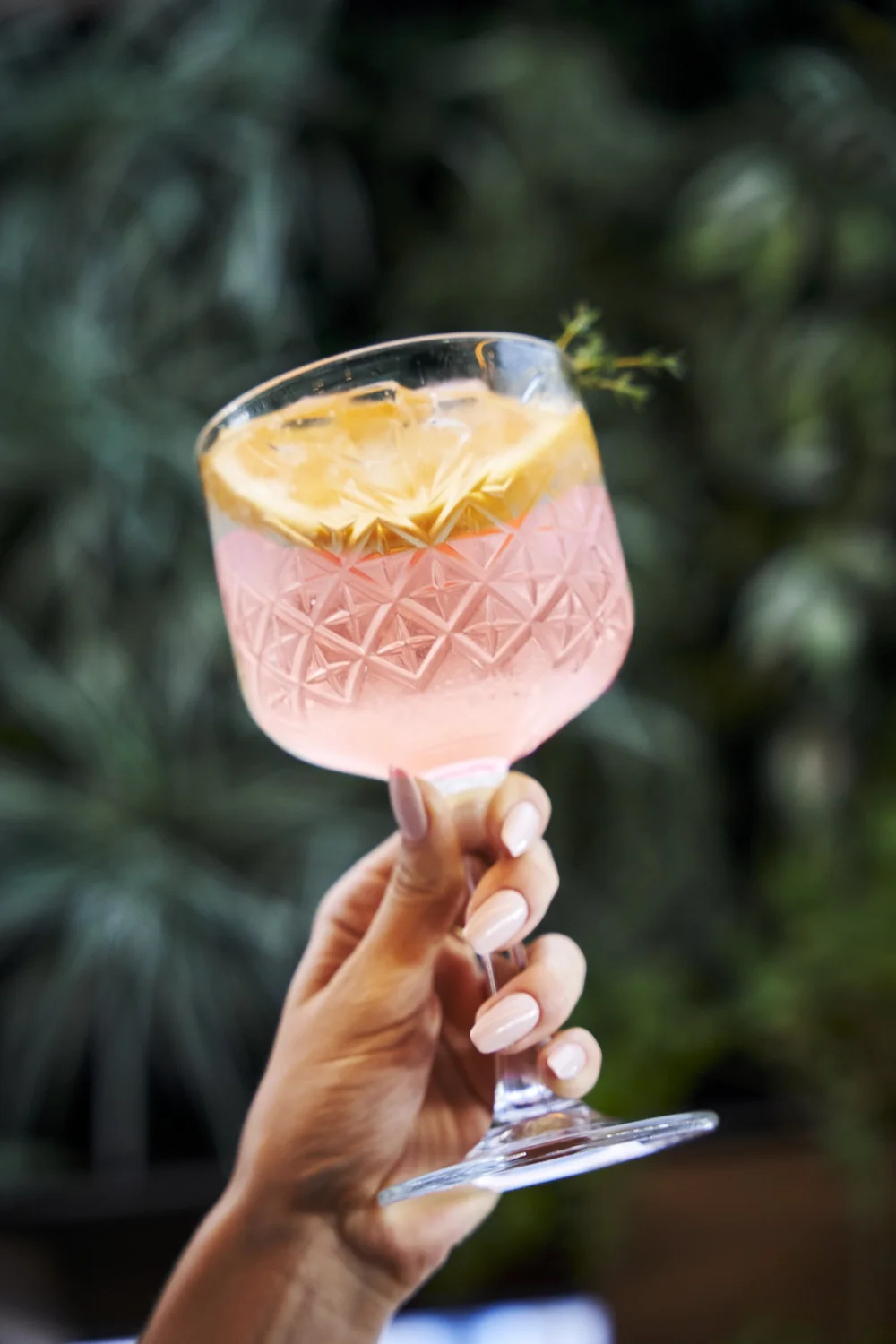 SPECIALS — HUDSONS