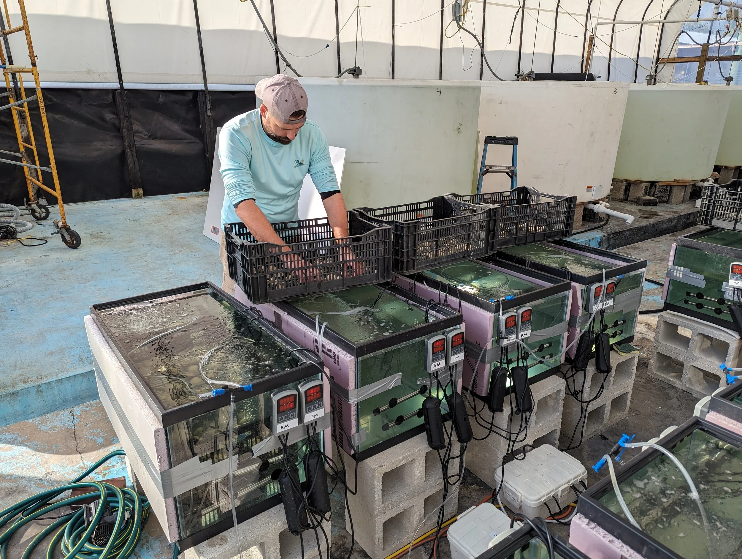 It’s Getting Hot in Here — Gulf Shellfish Institute