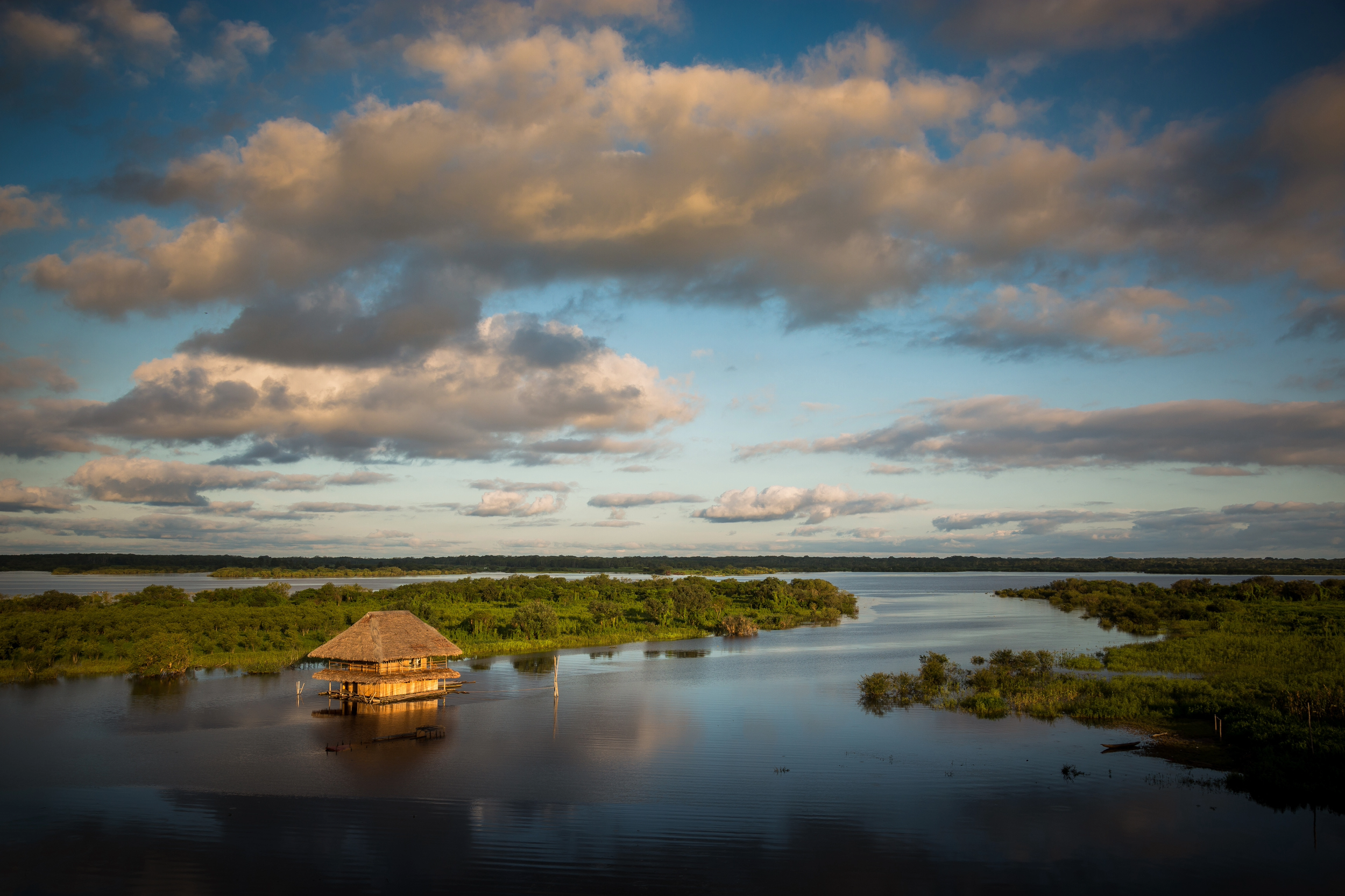 Global River Conservation and Biodiversity Restoration Efforts