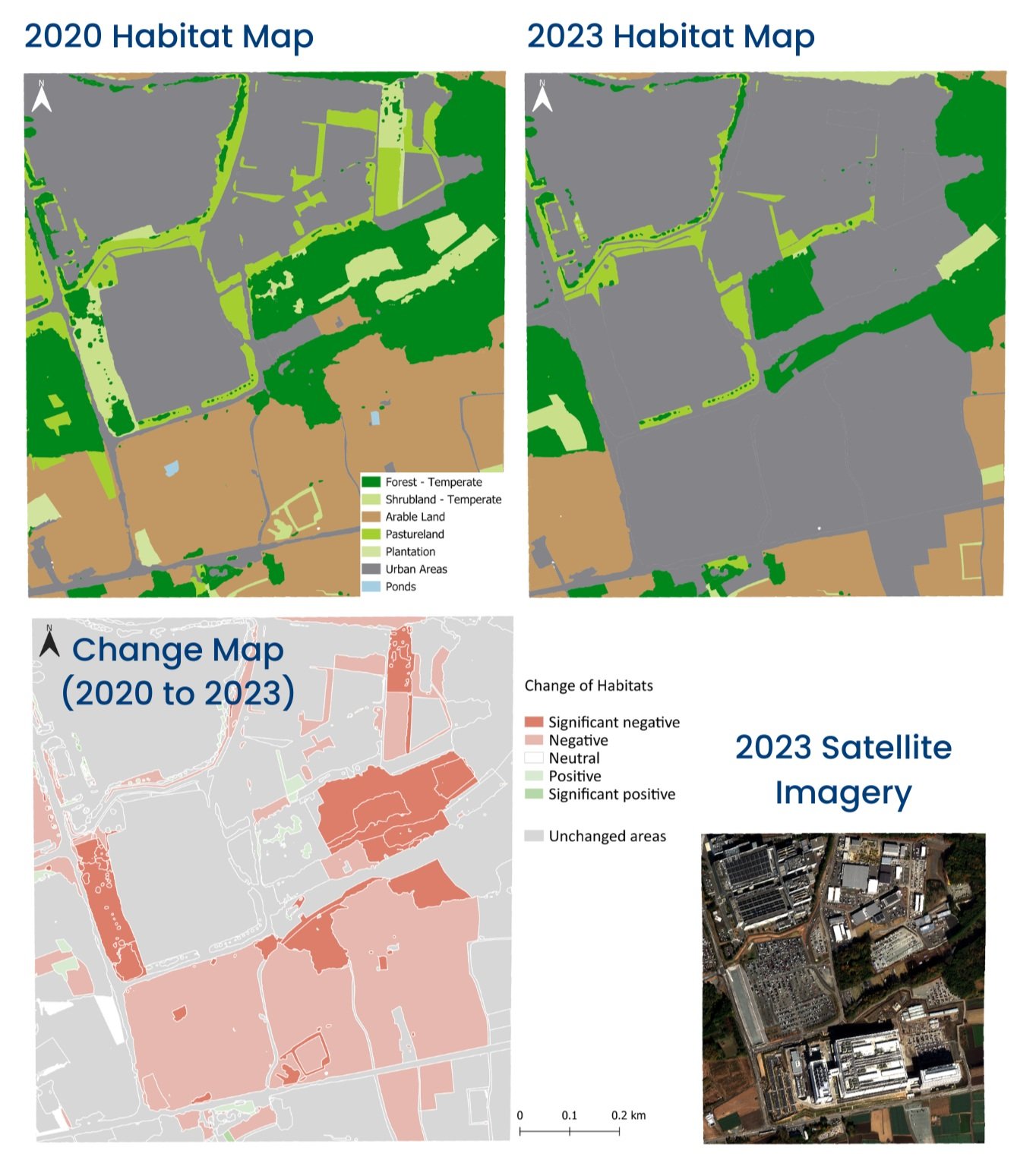 Our Services — Gentian